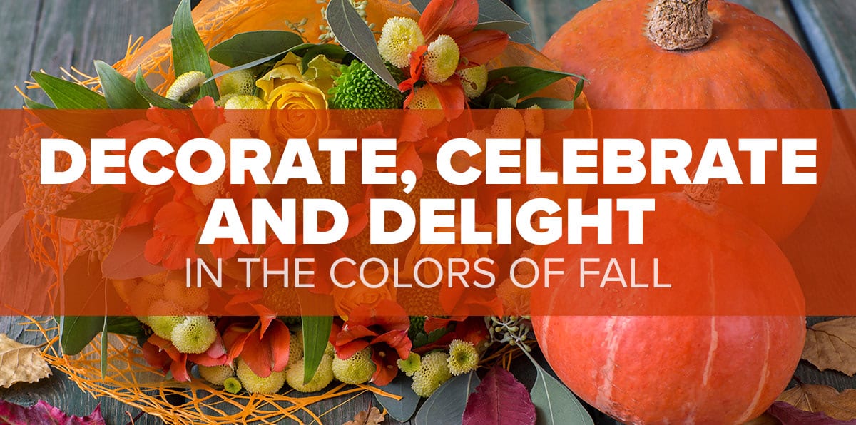 Celebrate the Magnificent Colors of Fall with These Seasonal Blooms ...